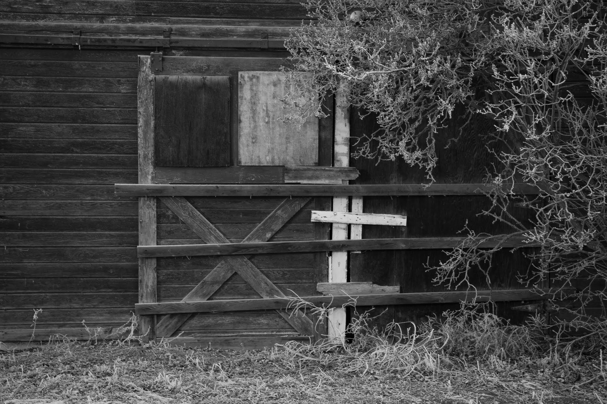 Walker Evans Photography - Walker Evans photography