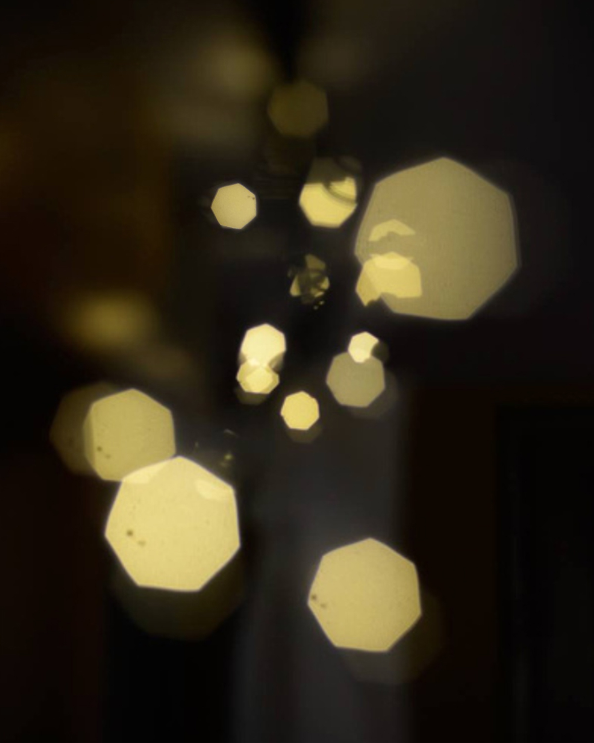 Creatio Ex Nihilo - Photography by Ira Gardner